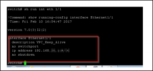 How to setup the VPC on Cisco Nexus 9300 series switches step by step ...